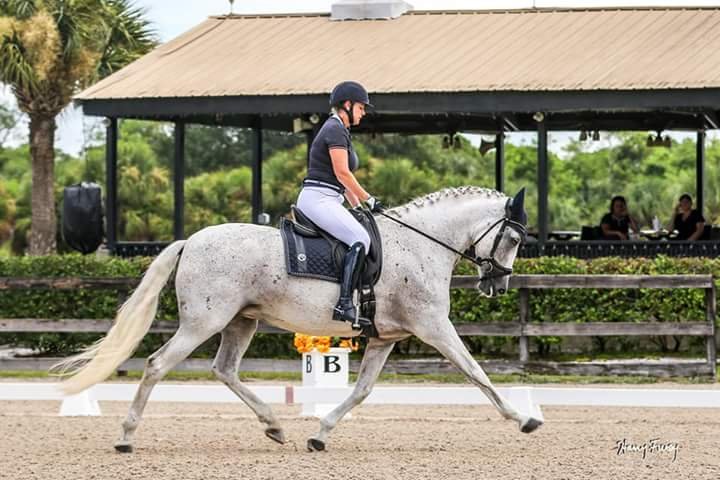 Fiona Roy - USDF Horse of the Year bred by Royal Horse Farms